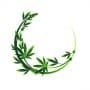 Cedar Greens Cannabis In Sequim, WA - Serving Port Angeles, WA